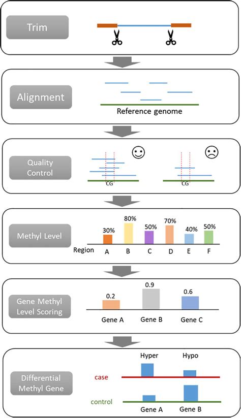 Primer Design Guidelines Pdf At Eldon Berthold Blog