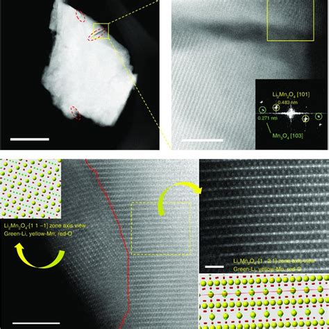 Visual Observations Of Particle Morphology And Phase Distribution From