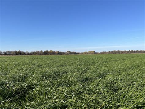 Kas Sina Rajad Oma Rohumaad õigesti