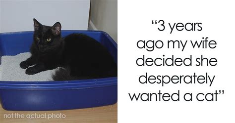 Guy Wonders If Hes A Jerk For Refusing To Clean The Litter Box While