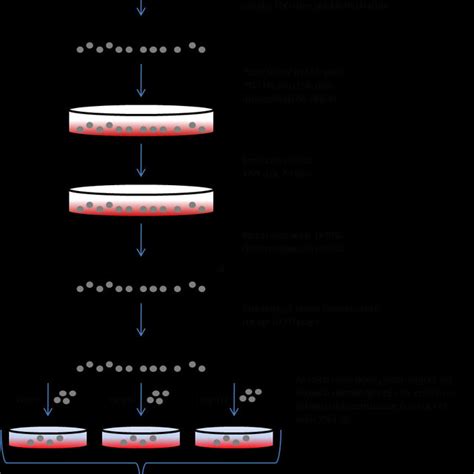 Schematic Diagram For The Object Associated Transfer Oat Method
