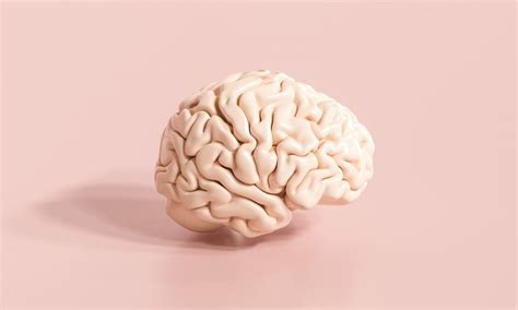 Brain Metastases In Breast Cancer Matchtrial