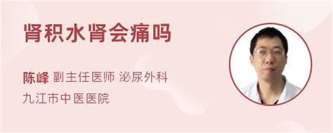 肾积水肾会痛吗 陈峰的语音问答 普乐云康