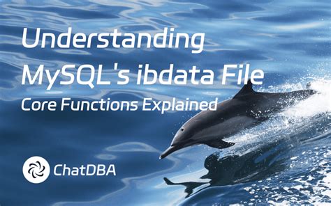 Understanding Mysqls Ibdata File Core Functions Explained