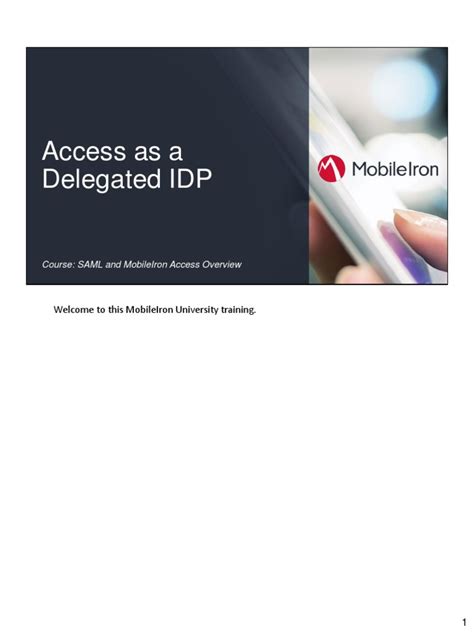 Access As Delegated Idp Pdf