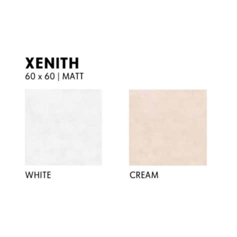 Jual Granit Infiniti Revo Xenith Matte Series 60x60 Cm White