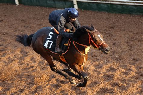 土曜メインレースの注目激走馬東京11r・東京スポーツ杯2歳ステークス・g2 スポーツ報知