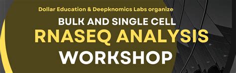 Learn Rna Sequencing Analysis With Us