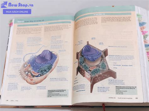 Review Cuốn Bách Khoa Toàn Thư Về Sinh Học Sinh Học Campbell
