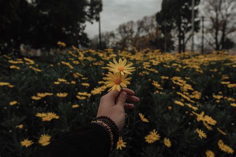 Yellow Aesthetic Laptop Wallpapers Top Free Yellow Aesthetic Laptop