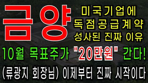 금양 주가전망 🔴아마 처음 듣는 내용이실겁니다 아무도 모르는 수주공시가 성사된 이유놀라운 사실들을 깜짝 공개합니다 금양 금양주가전망 금양주식전망 Youtube