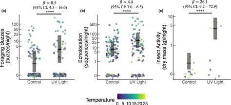 Foraging Activity A Echolocation Activity B And Insect Activity
