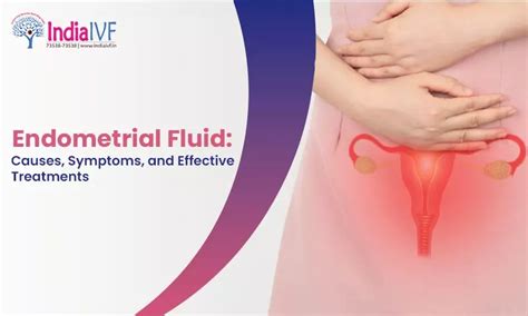 Endometrial Fluid Treatment Expert Medical Insights