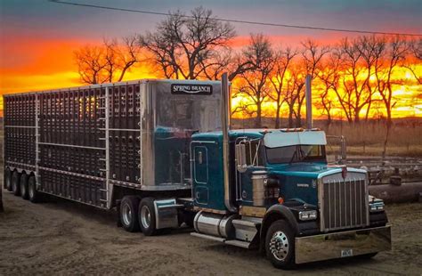 American Bull Haulers Association Com Facebook