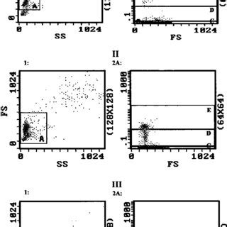 Cytometric Flow Analysis Of Fresh Peripheral Blood Mononuclear Cells