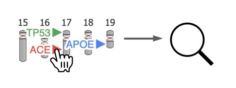 GitHub Broadinstitute Gene Hints Discoverability For Gene Search Mag