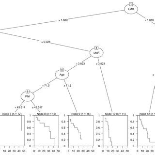 Classification And Regression Tree Cart Analysis The Root Node Was