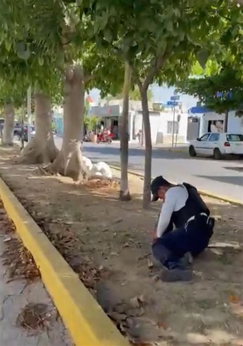 VIDEO Extranjero por caminar desnudo y golpear a un policía en Playa