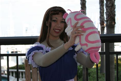 Starfire And Silkie From Teen Titans Confused Kitty Sewing