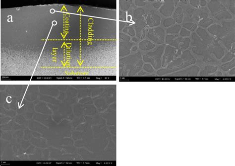 the sem of longitudinal sectional microstructure of cladding layer a