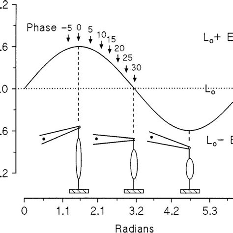 Stimulation During Sine Function Download Scientific Diagram