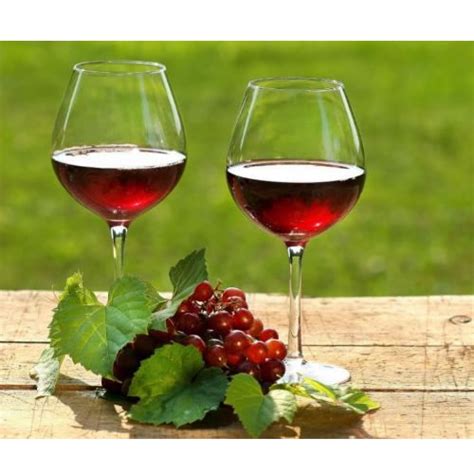 Vino tinto ecológico