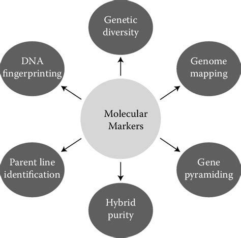 Biotechnology For You Molecular Marker