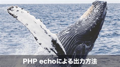 PHP入門者向けechoによる出力方法まとめ