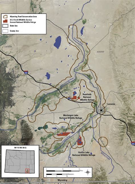 Feds Buy 2 Million Parcel To Save Wyoming Toad — Warts And All Wyofile