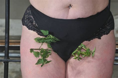 Stinging Nettles Bdsm And Needle Torture Of Mature Bbw Andrea Porn