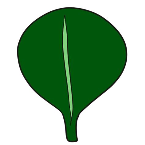 Ovate Leaf Shape In Aac Image Library · Global Symbols