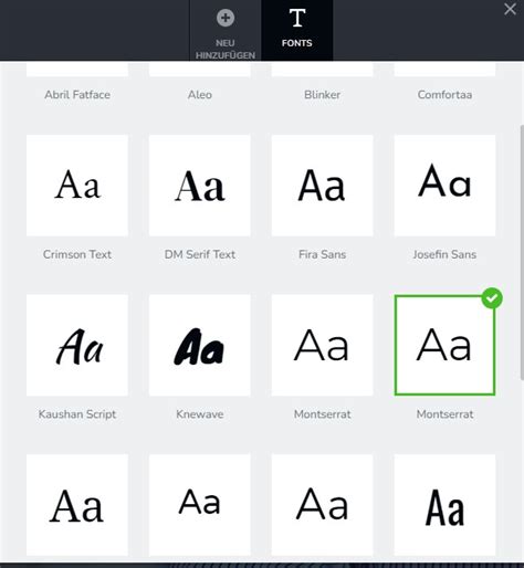 Bunny Fonts Issue Critical Brizy Help Center