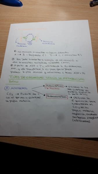 Ppppppppppppppppppppppppppppppppppppp Estudia Con Helen