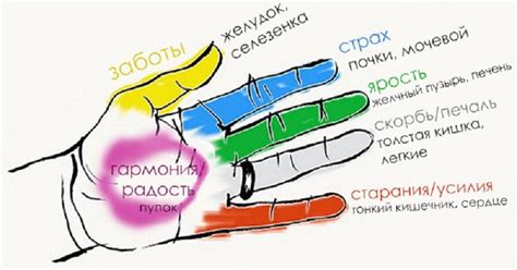 Как органы связаны с пальцами