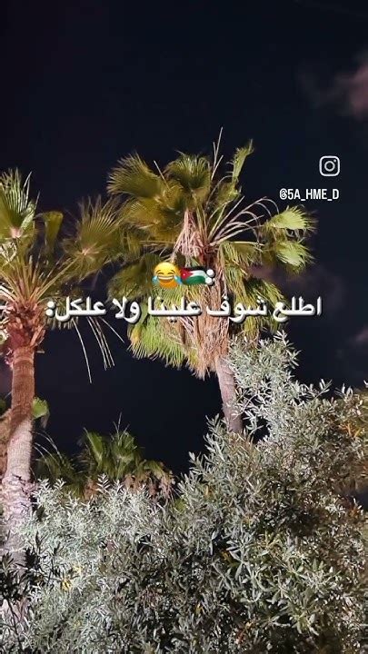 فعلاً مثل هيك 😂😂😂😂 Youtube