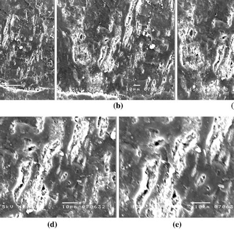 Pdf Two Dimensional Sem Image Based Analysis Of Coal Porosity And Its