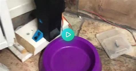 3d Printed Automatic Food Dispenser With Wifi Integration Rarduino