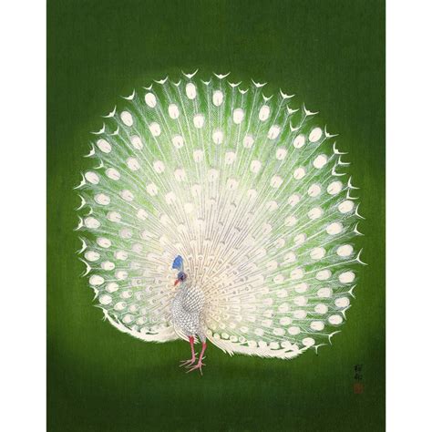 Purple Peacock Art Print Etsy