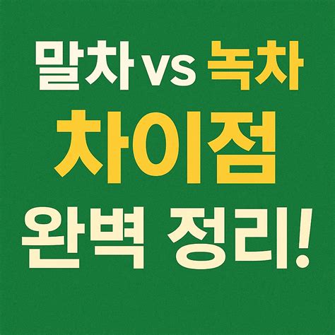 말차 Vs 녹차 차이점 완벽 정리 고를 때 꼭 알아야 할 3가지