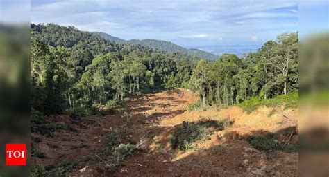 Malaysia Death Toll At Malaysia Campsite Landslide Rises To 23 10