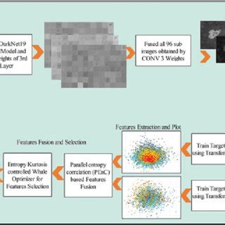 Proposed Flow Diagram Of Multiclass Skin Cancer Classification