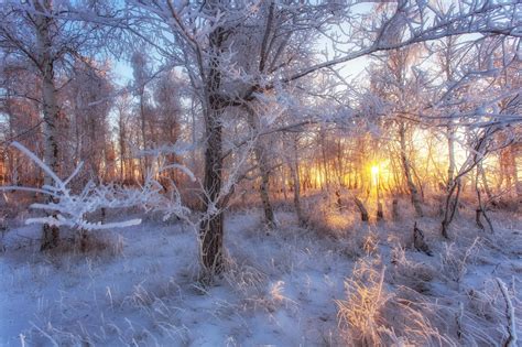 Papel De Parede Neve Inverno Luz Solar Panorama Natureza