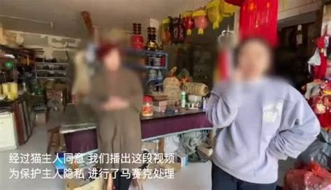 《当家主母》剧组采访白猫主人 澄清因拍戏虐猫传闻凤凰网视频凤凰网