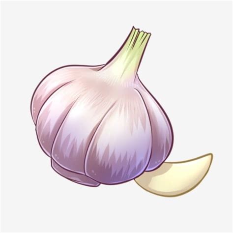 17 Desenhos De Alho Para Imprimir E Colorirpintar