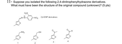Solved 11 ﻿suppose You Isolated The Following
