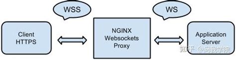 nginx反向代理websocket 知乎