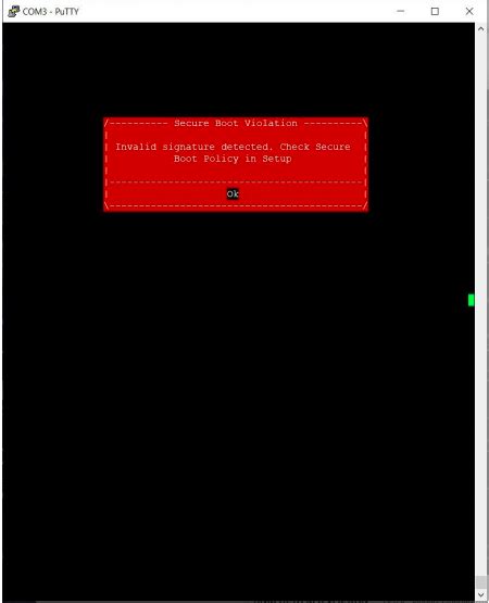 Verify Support For Uefi Secure Boot Versa Networks