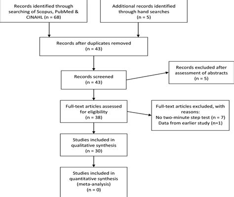 Two Minute Step Test Of Exercise Capacity Systematic