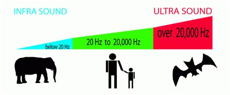 Understanding Infrasound Sasquatch Chronicles