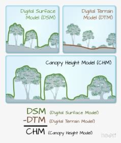Lidar Derived Dsm Dtm And Chm Canopy Height Model Chm HD Png